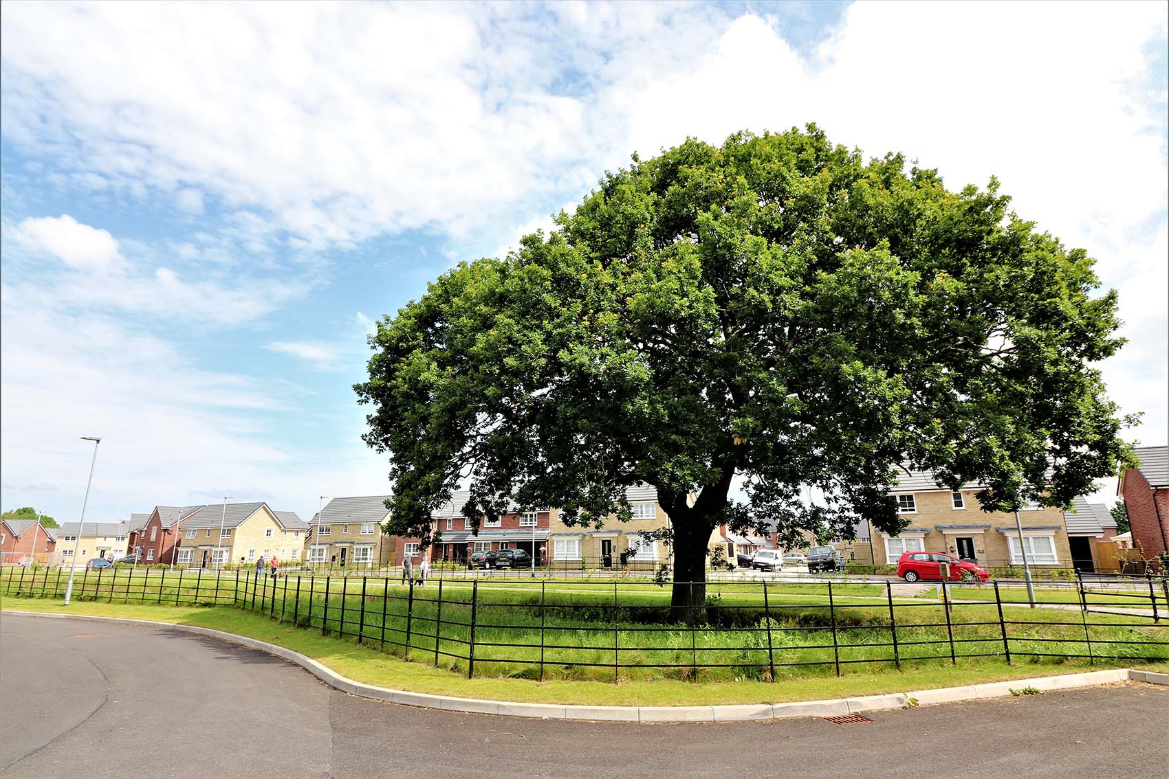 Tree Survey and Arboricultural Impact Assessment (AIA) | Enviro ...